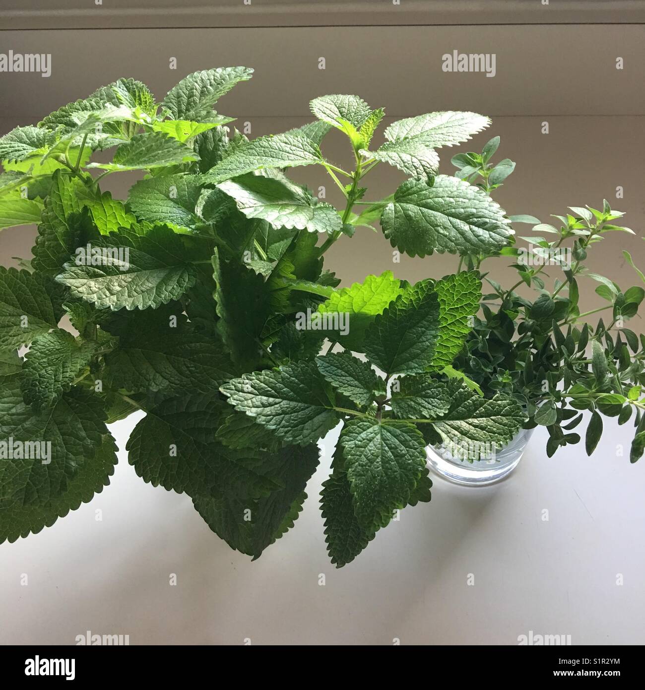 Fall herbs hi-res stock photography and images - Alamy