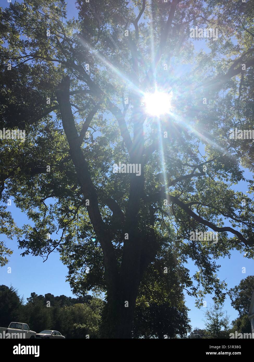 Midday sun hi-res stock photography and images - Alamy