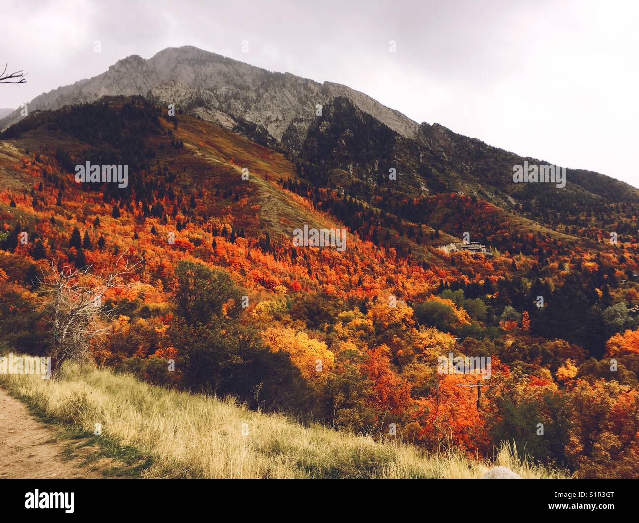 Salt lake city ut hi-res stock photography and images - Alamy