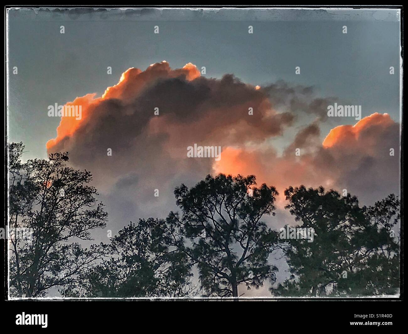 Clouds above the tree hi-res stock photography and images - Alamy