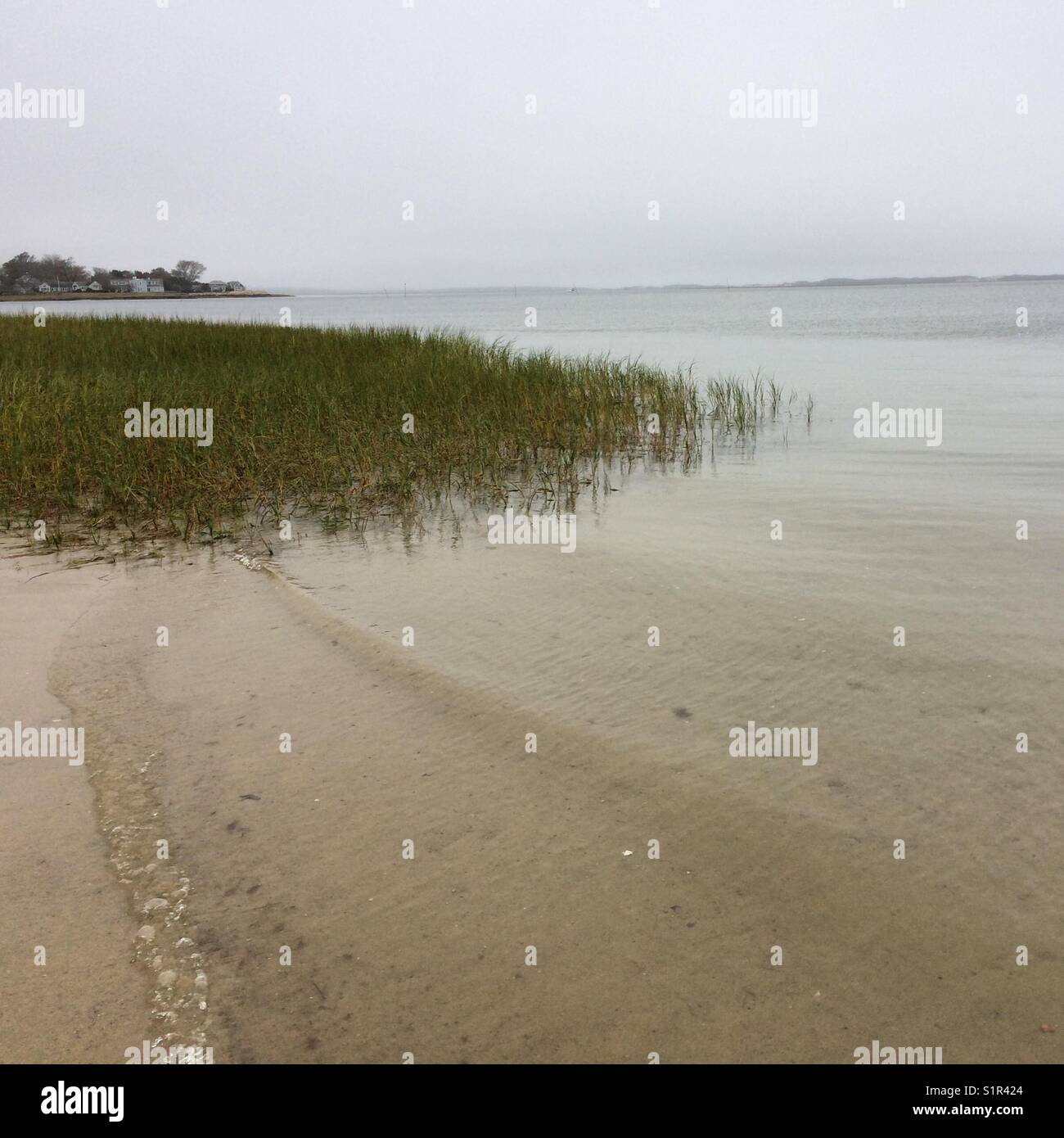Beach, Barnstable, Cape Cod, Massachusetts Stock Photo - Alamy