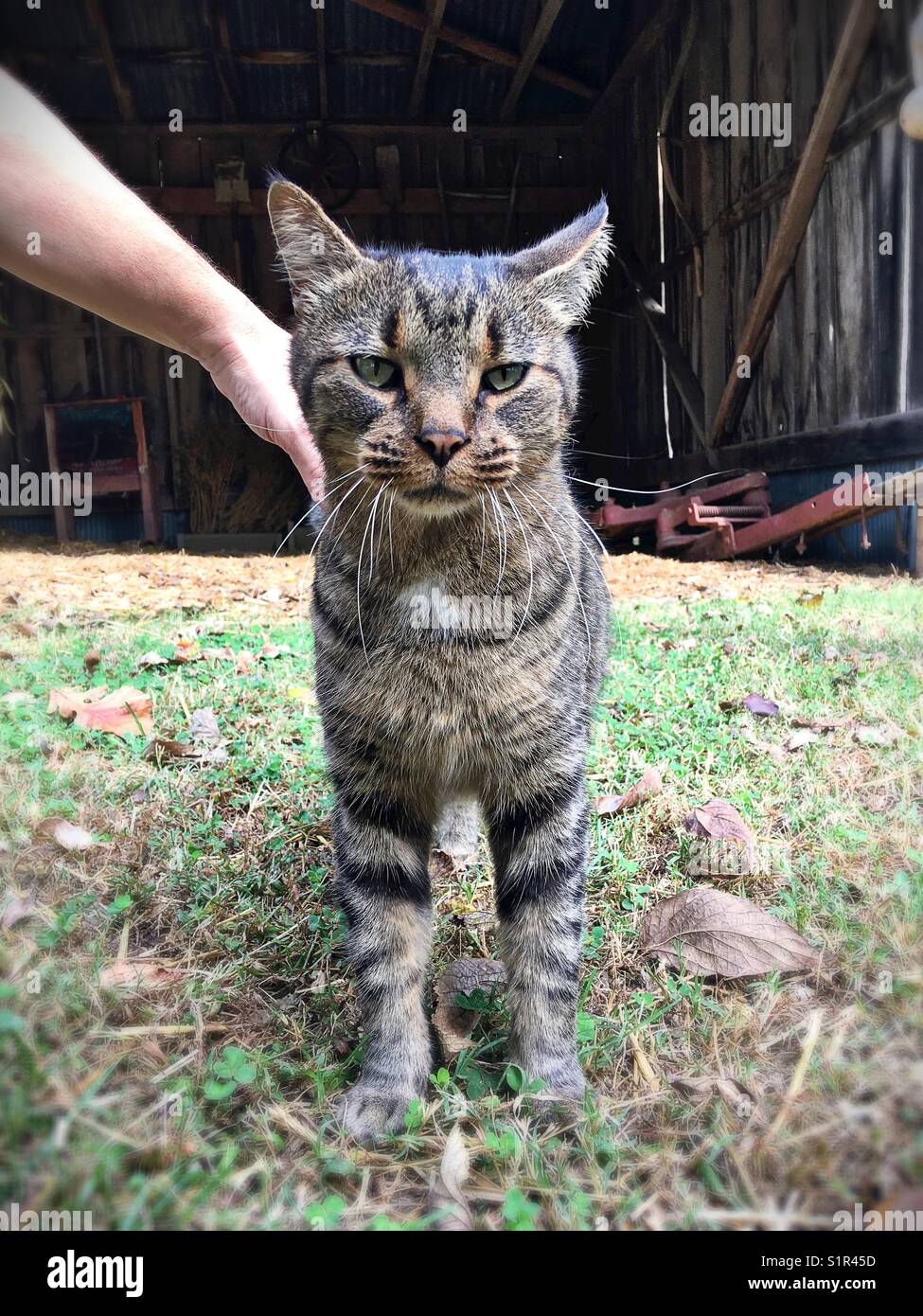 Outdoor barn hi-res stock photography and images - Alamy