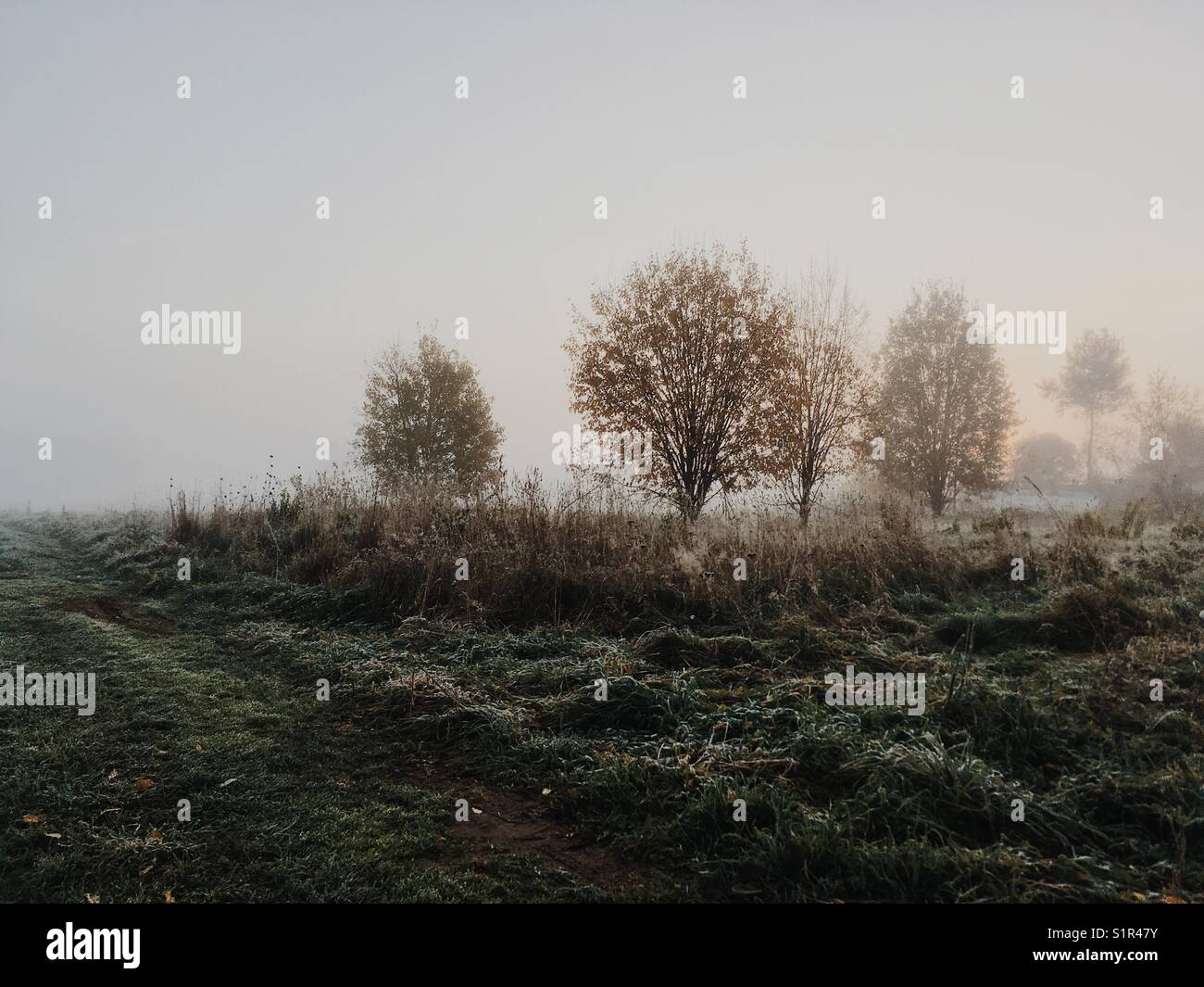 Field path morning fog sunrise hi-res stock photography and images - Alamy