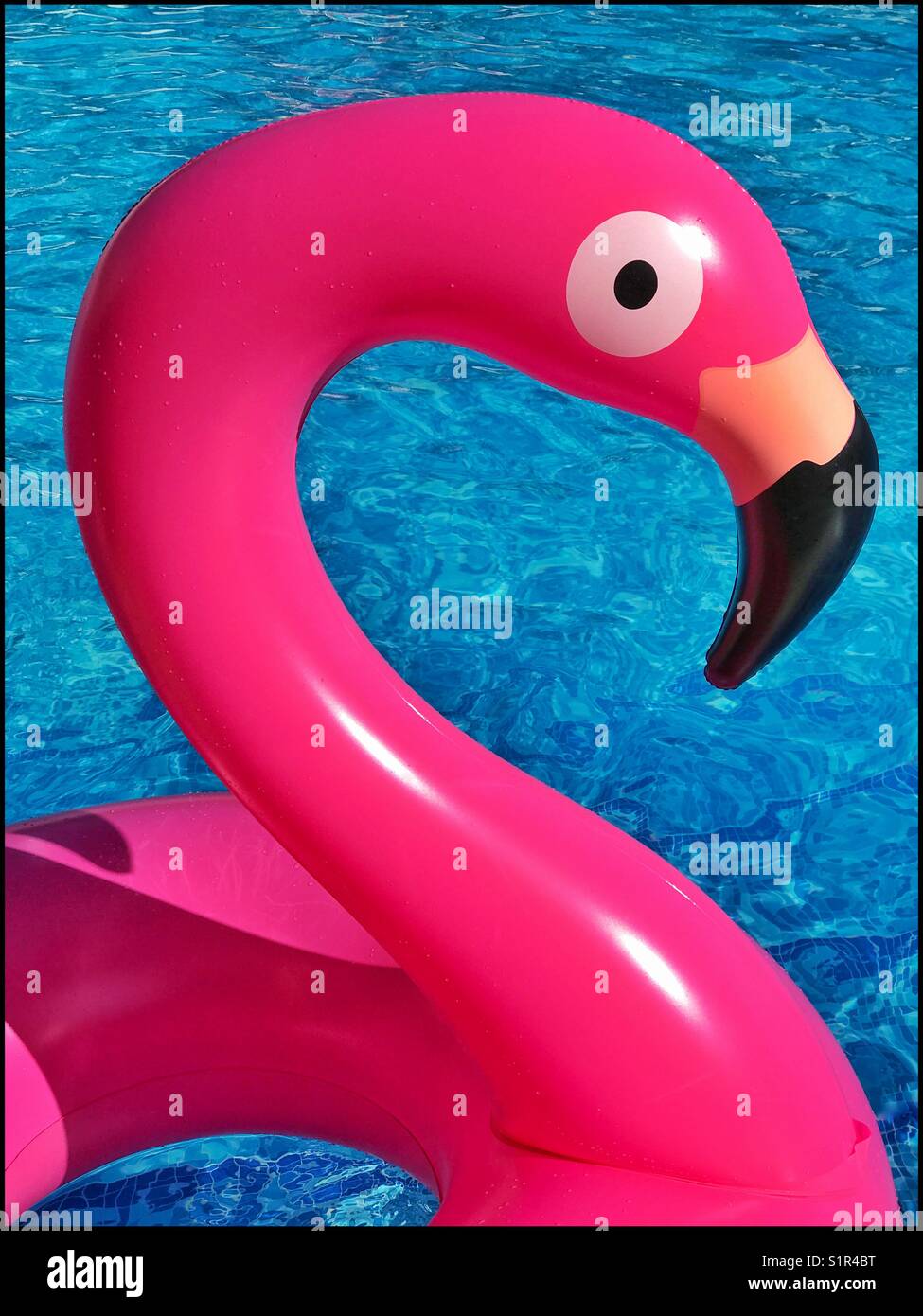 A plastic, inflatable flamingo floats in a swimming pool. A graphic ...
