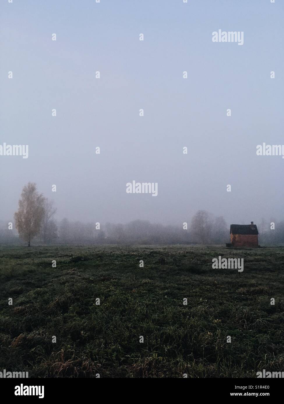 Forest mist hi-res stock photography and images - Alamy