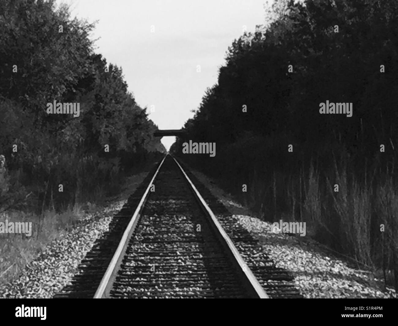 Railroad tracks trees hi-res stock photography and images - Alamy