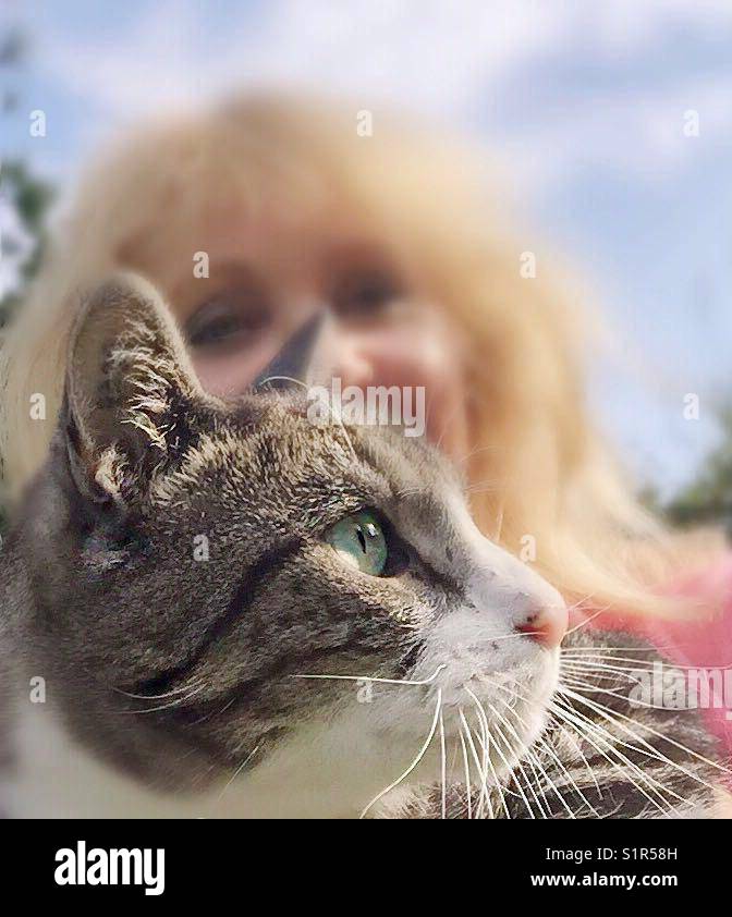 He-cat the first! Stock Photo - Alamy