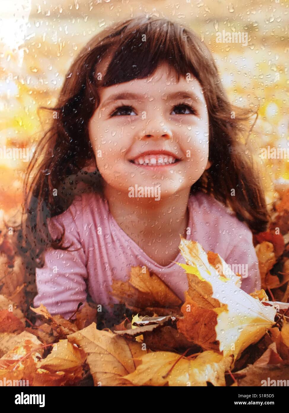 Heaps Of Leaves High Resolution Stock Photography and Images - Alamy