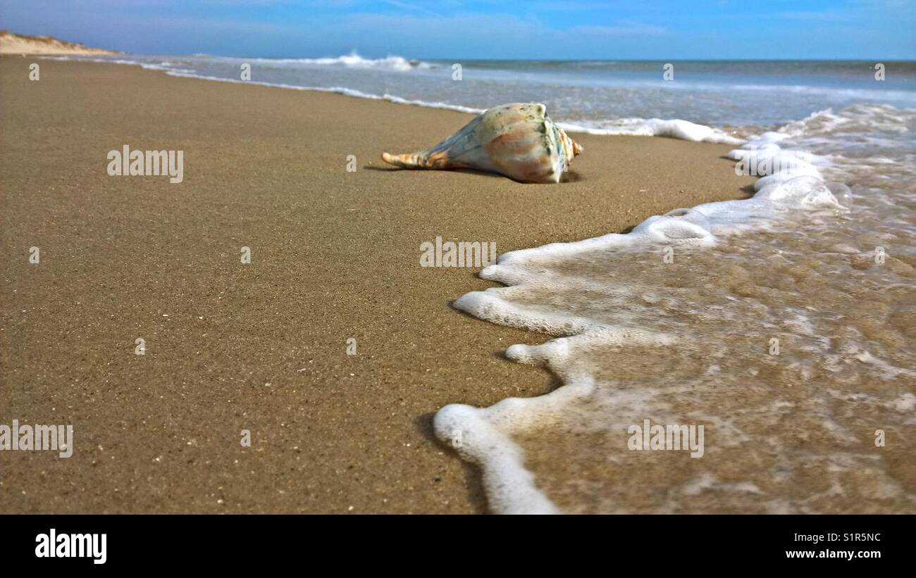 Waves treasure hi-res stock photography and images - Alamy