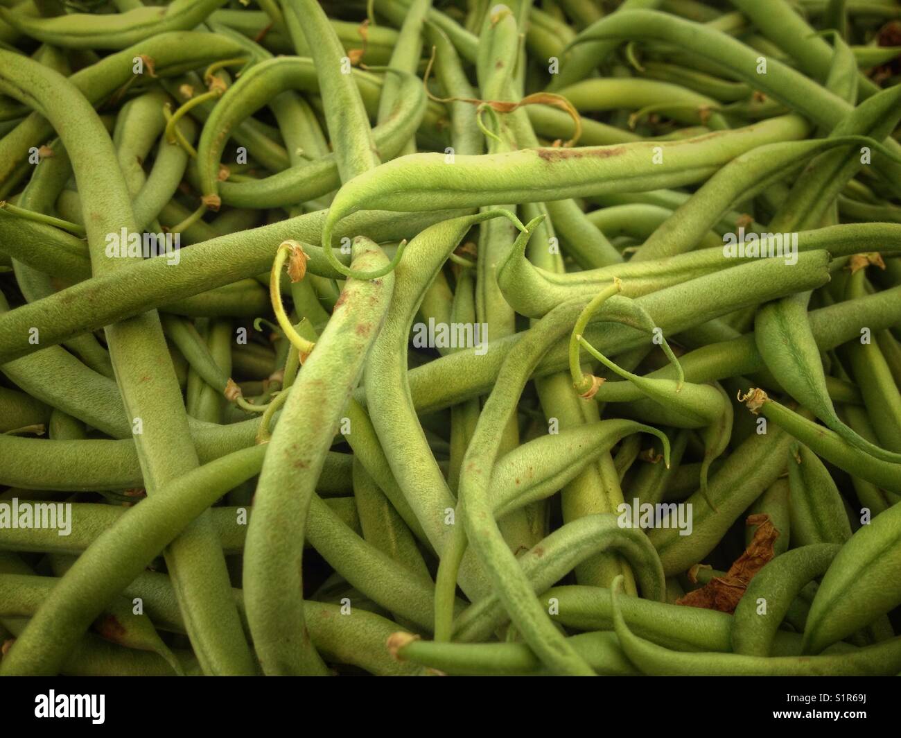 A display of Organic Green Beans at the Berkeley Farmers Market, in ...