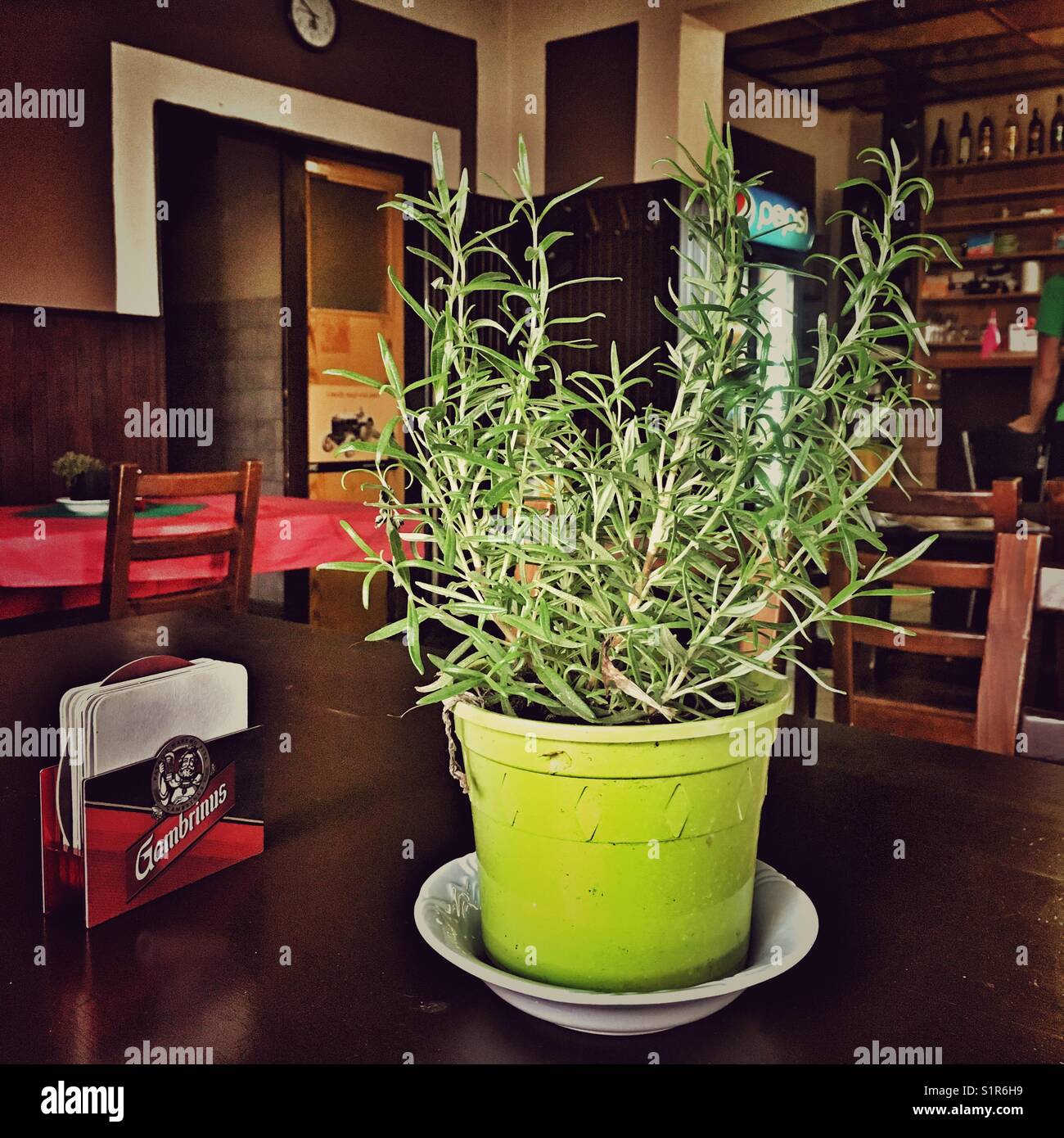 Yellow pot hi-res stock photography and images - Alamy