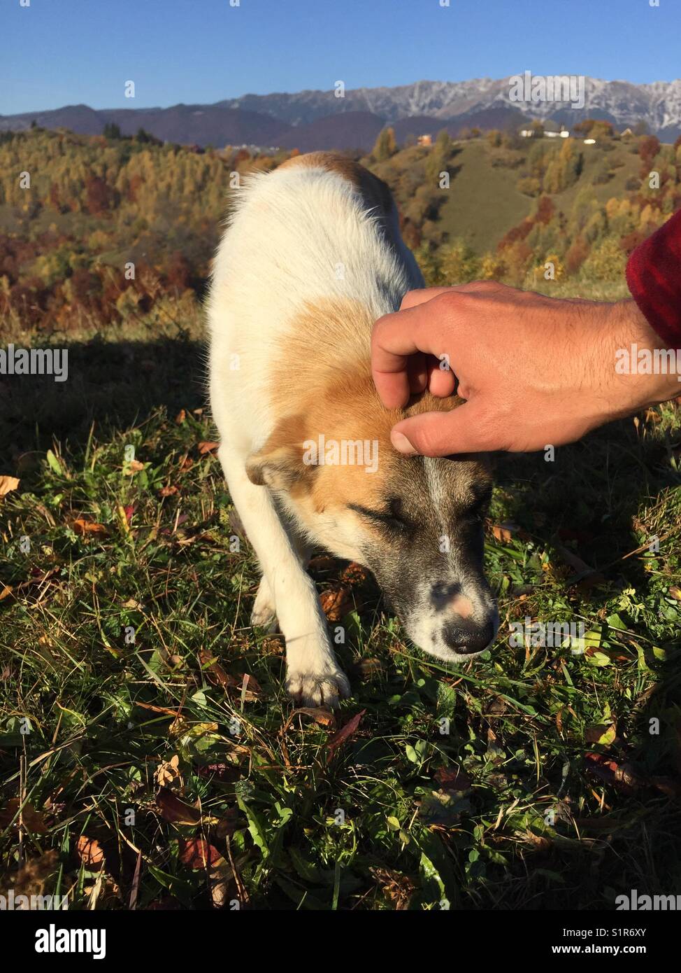 Hand scenery hi-res stock photography and images - Alamy