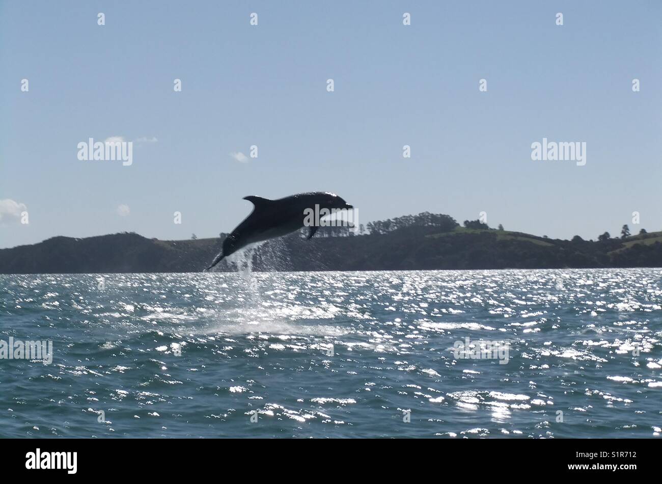 Leaping water hi-res stock photography and images - Alamy