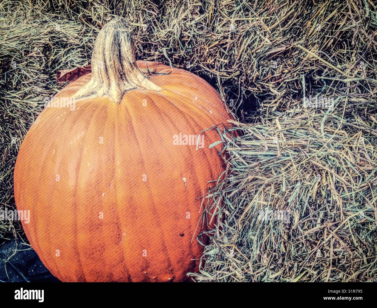 Hayloft hi-res stock photography and images - Alamy