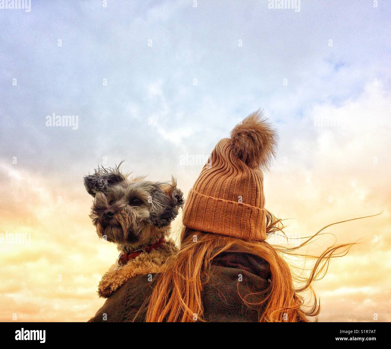 Fur in wind High Resolution Stock Photography and Images - Alamy