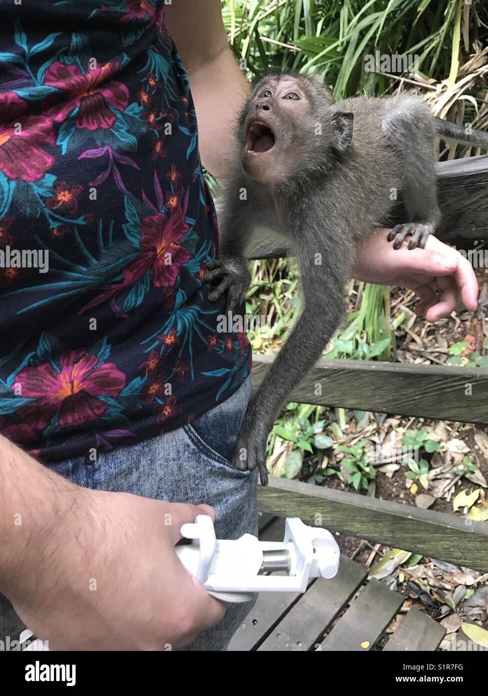 Pocketing hi-res stock photography and images - Alamy