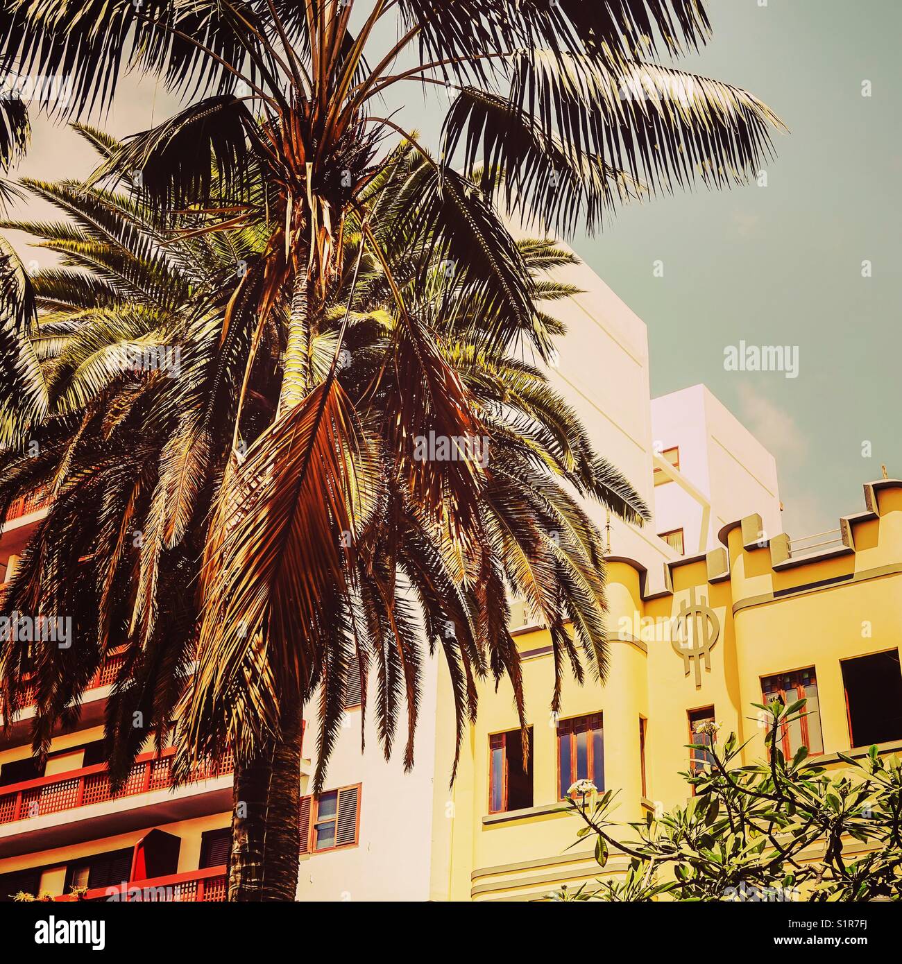 Man Made Palm Tree High Resolution Stock Photography and Images - Alamy