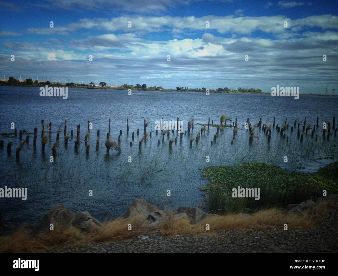 Sacramento-San Joaquin River Delta landscape Stock Photo - Alamy