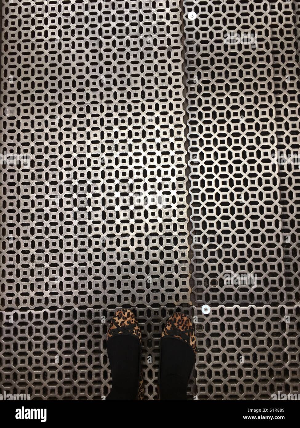 Leopard print shoes hi-res stock photography and images - Alamy