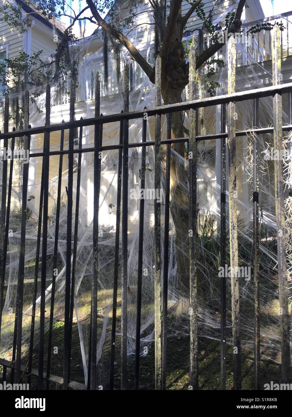 Cobweb decorations hi-res stock photography and images - Alamy