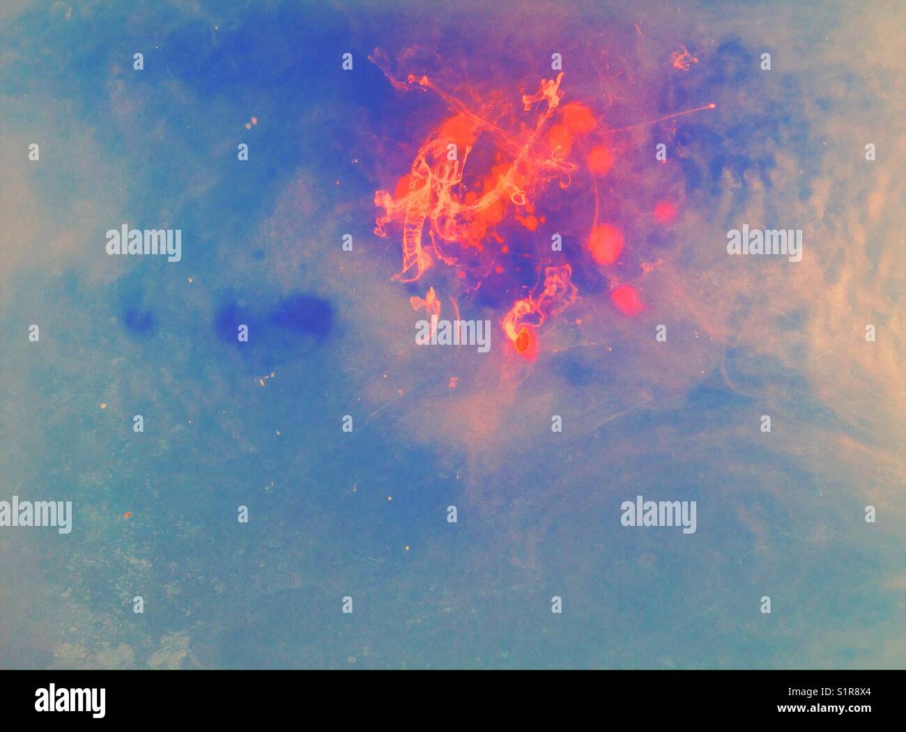 Movement of paint in water Stock Photo - Alamy