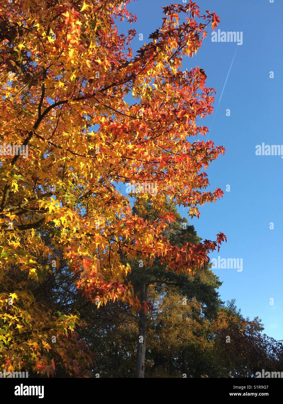 Changes by season hi-res stock photography and images - Alamy