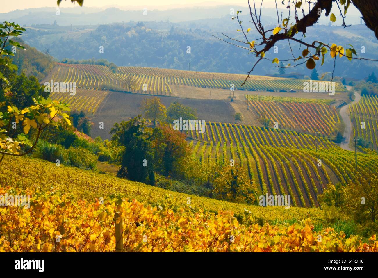 Fall In Italy Stock Photo - Alamy