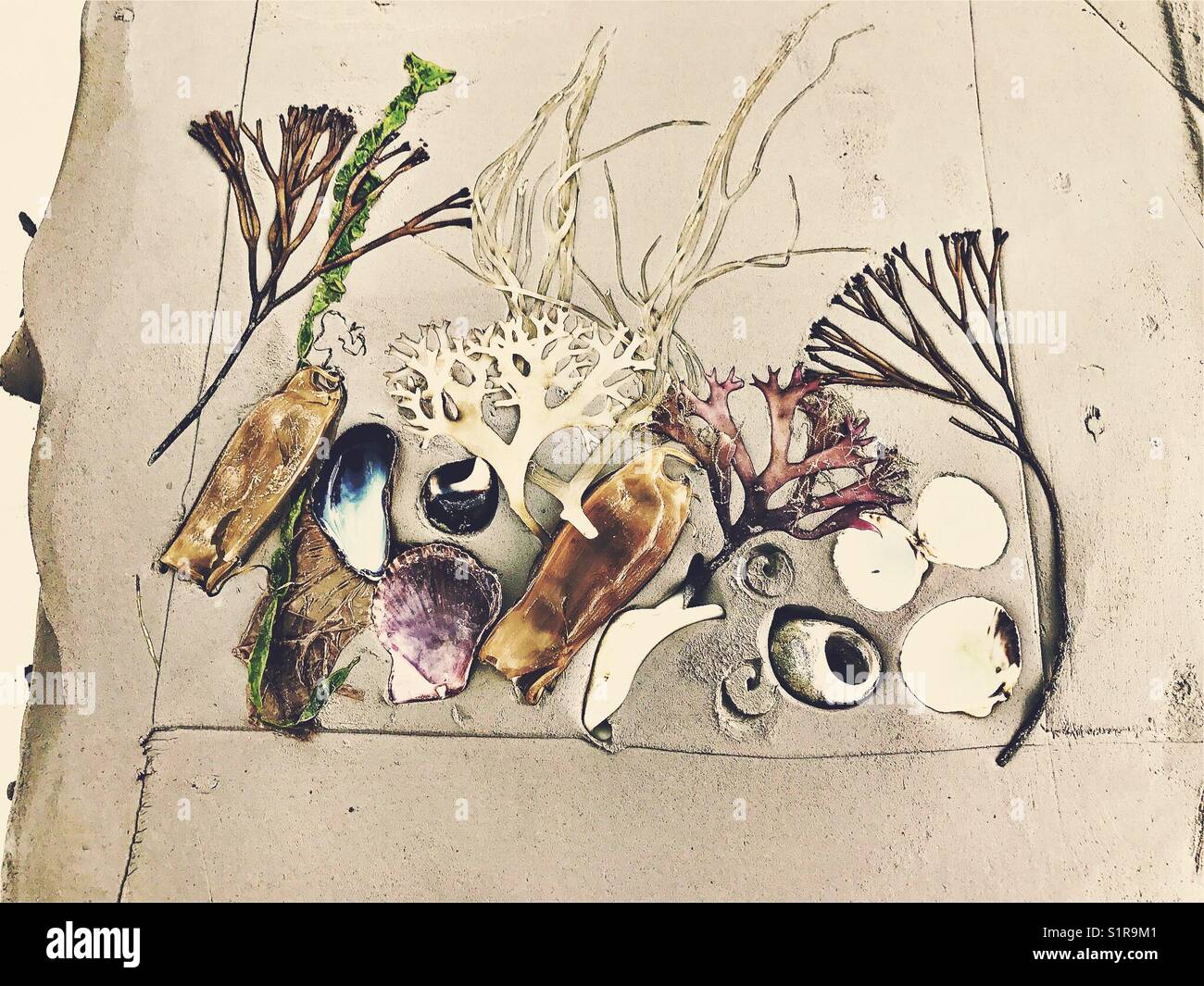 Seashore abstract design Stock Photo - Alamy