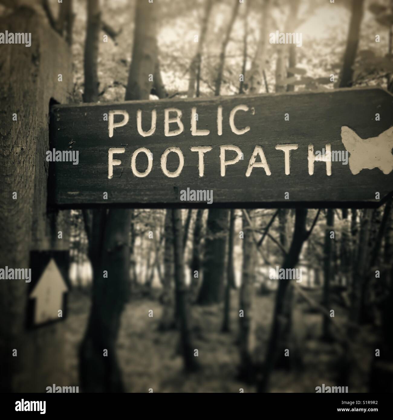 Public woodlands hi-res stock photography and images - Alamy