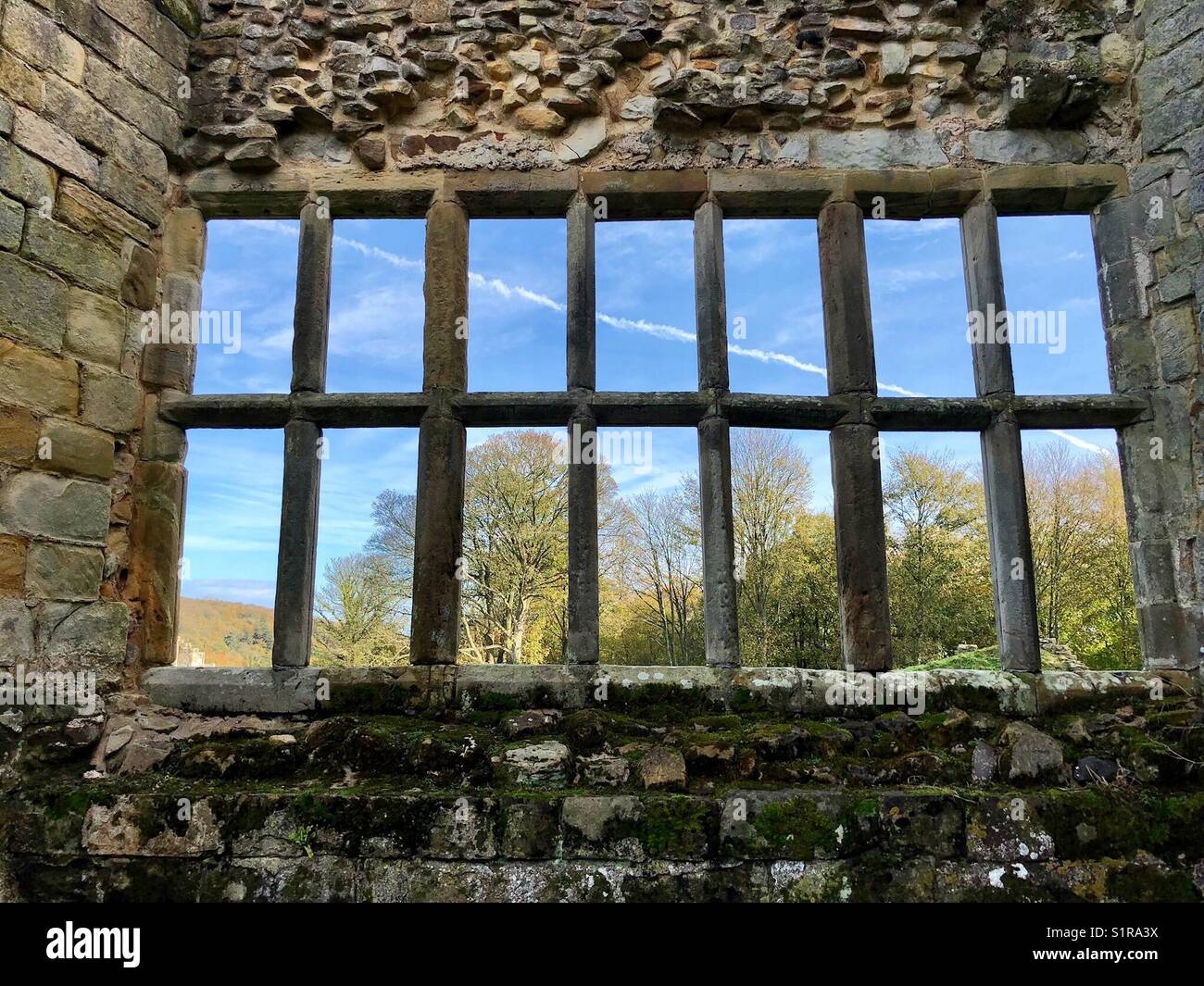 Autumn trees viewed through the mullioned window of a ruined castle ...