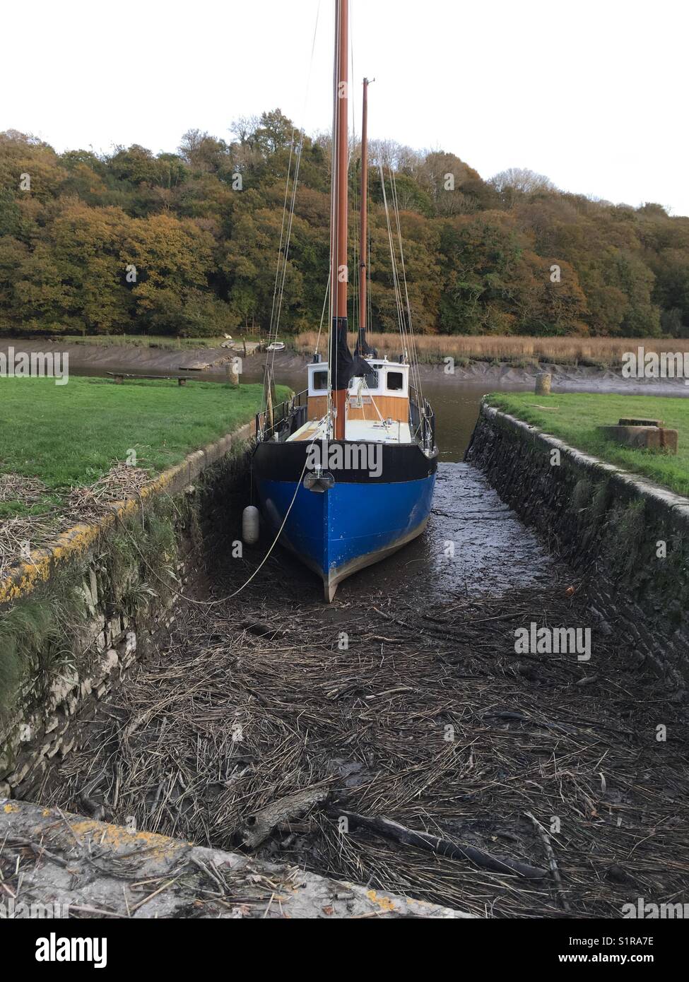Autumn in Cotehele, Cornwall,UK Stock Photo - Alamy