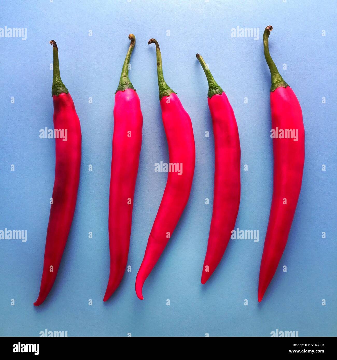Five spicy hot red peppers on an icy blue background Stock Photo - Alamy