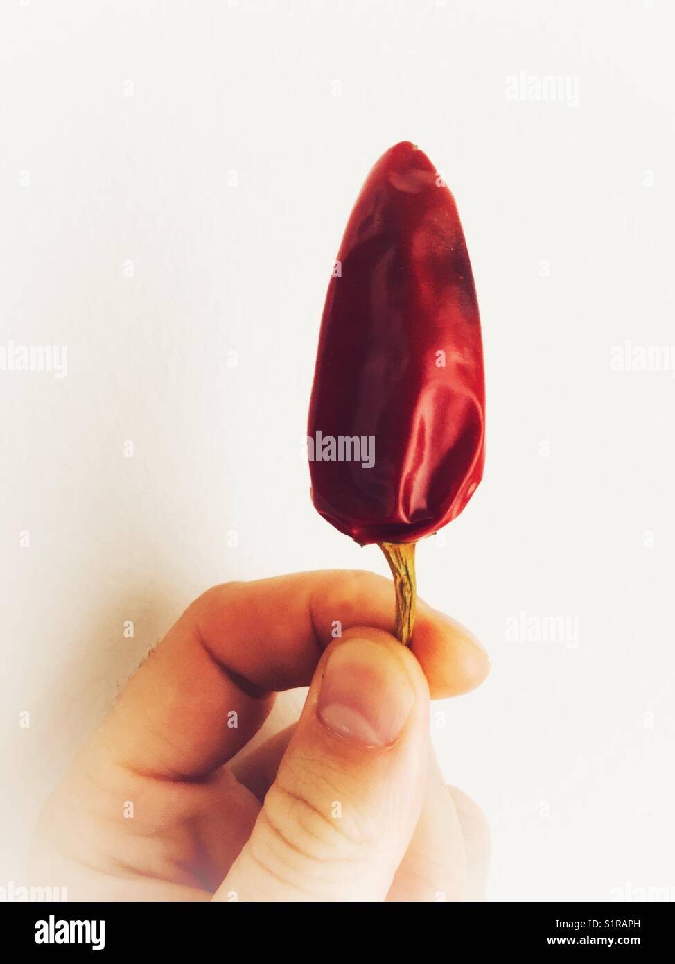 Holding one red dried chilli pepper with white background Stock Photo ...
