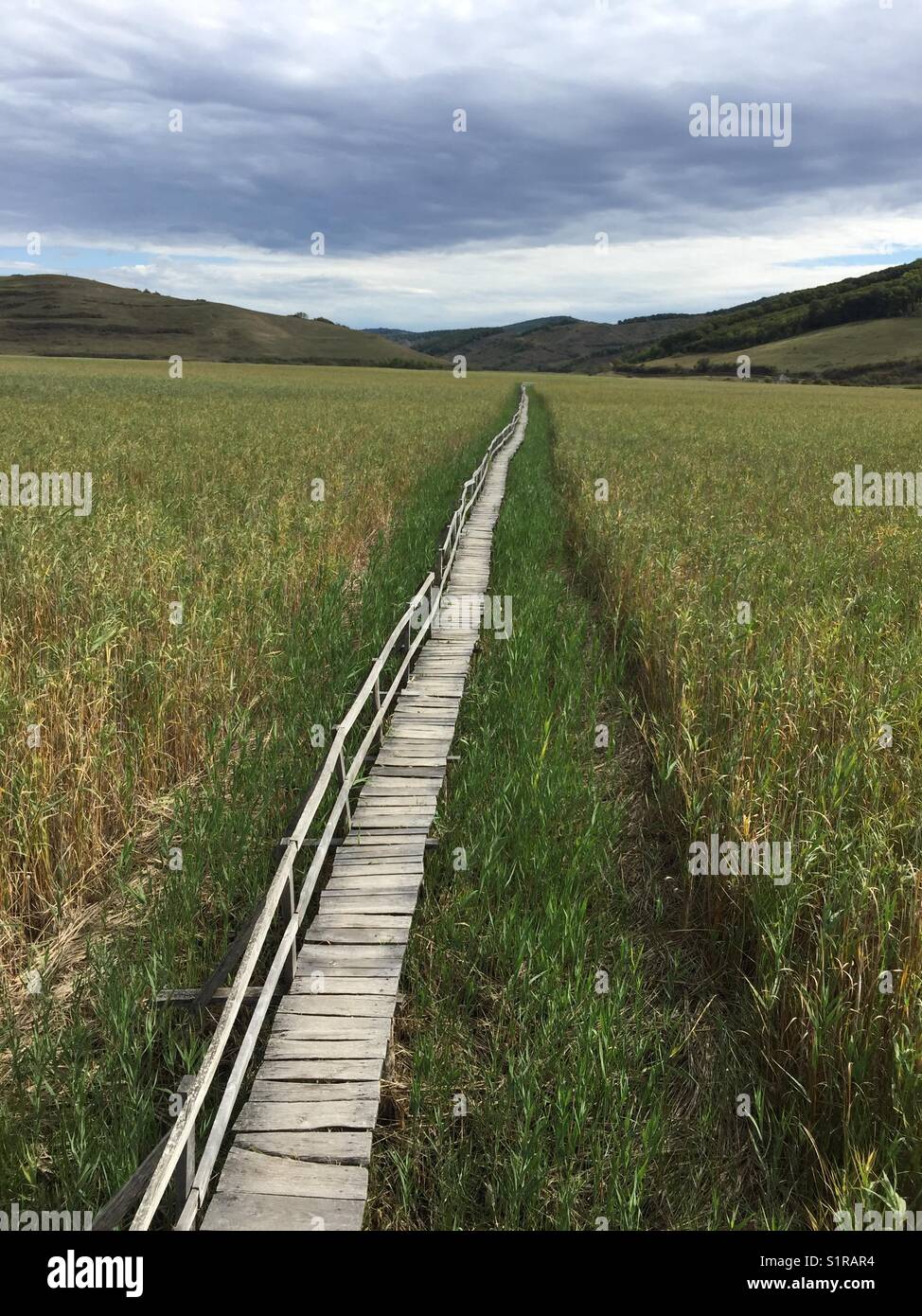 Pathway through nature reserve hi-res stock photography and images - Alamy