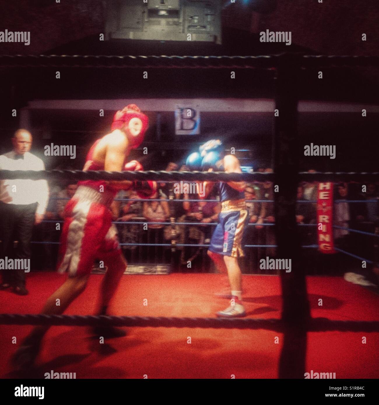 White collar boxing match at The Ring, London Stock Photo - Alamy
