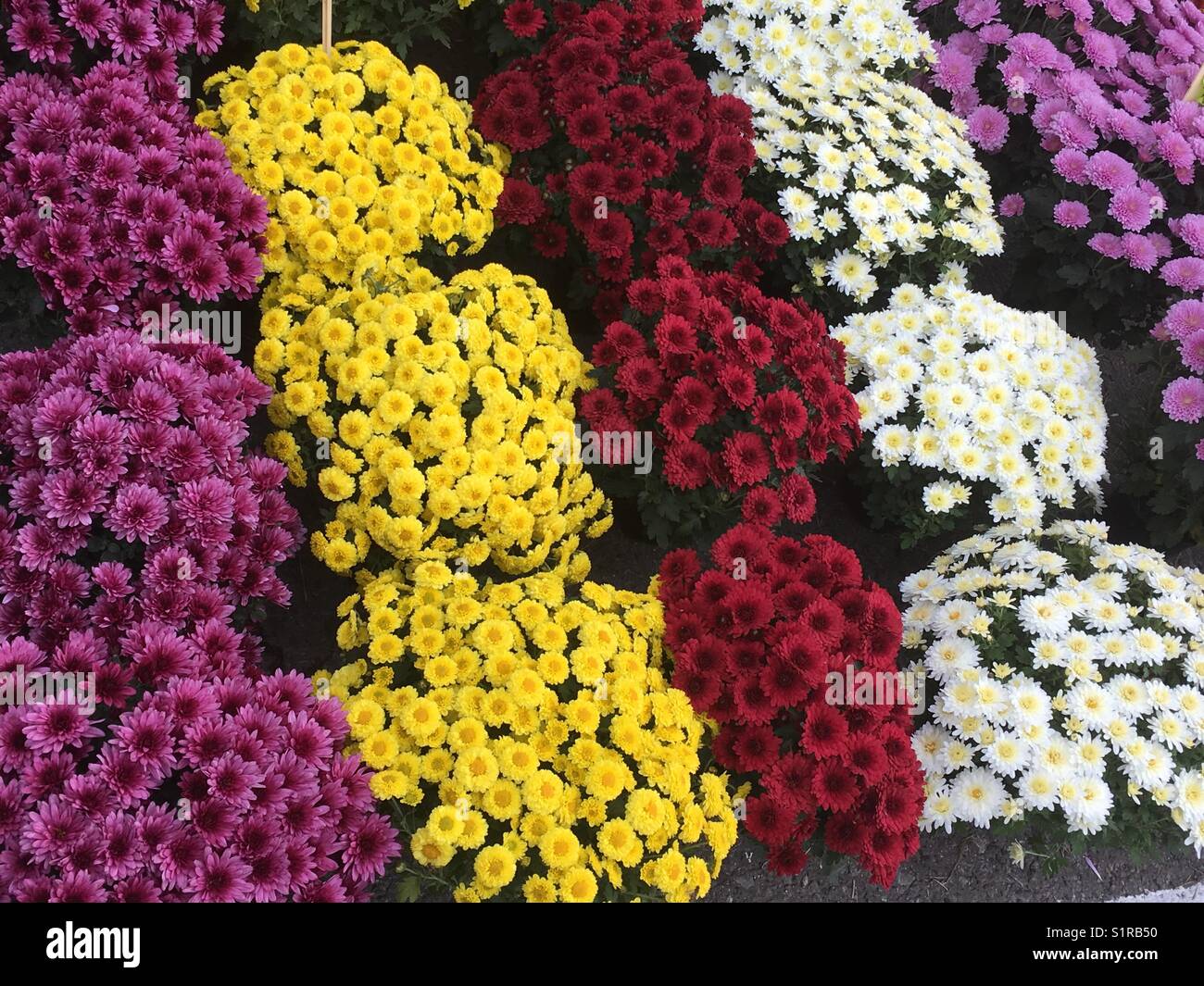 Full colours hi-res stock photography and images - Alamy