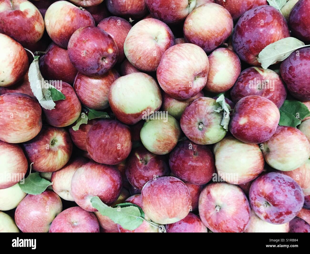Washington state apples hi-res stock photography and images - Alamy