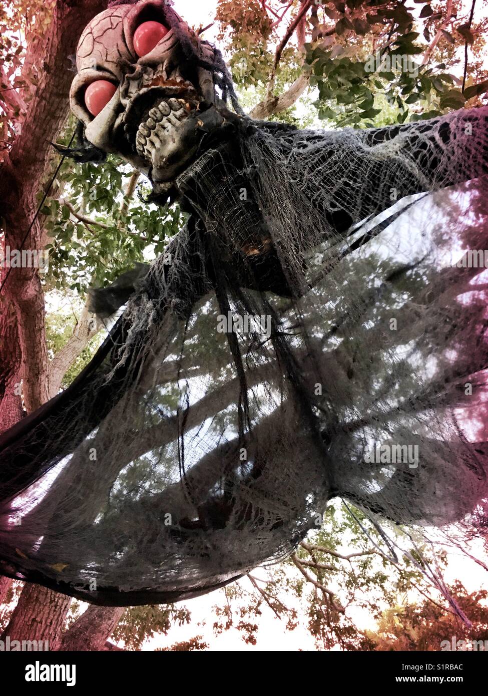 Evil tree smartphone stock photos and images - Alamy