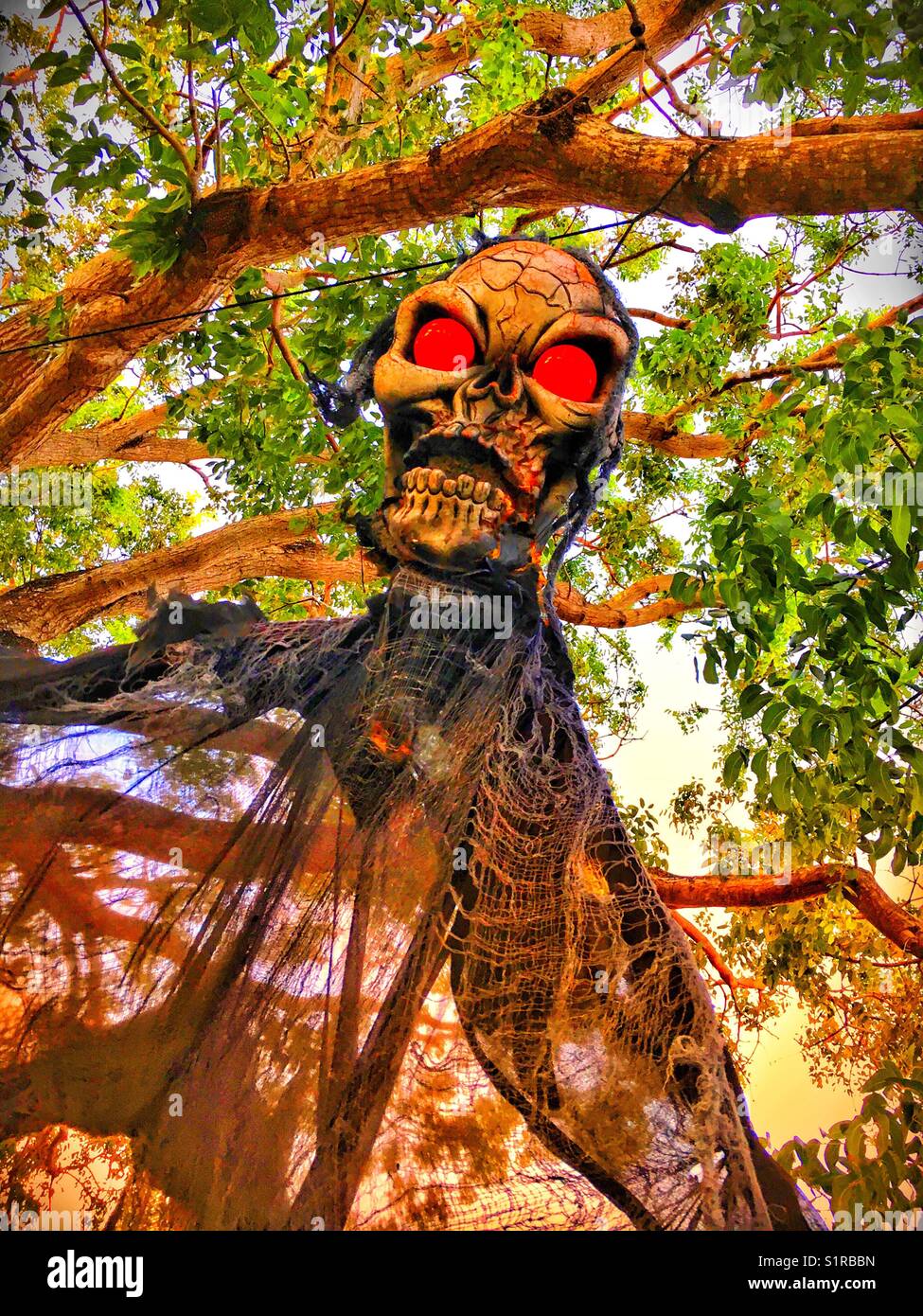 Ghoulish decorations hi-res stock photography and images - Alamy