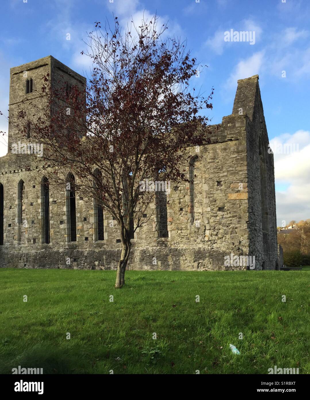 Sligo abbey hi-res stock photography and images - Alamy