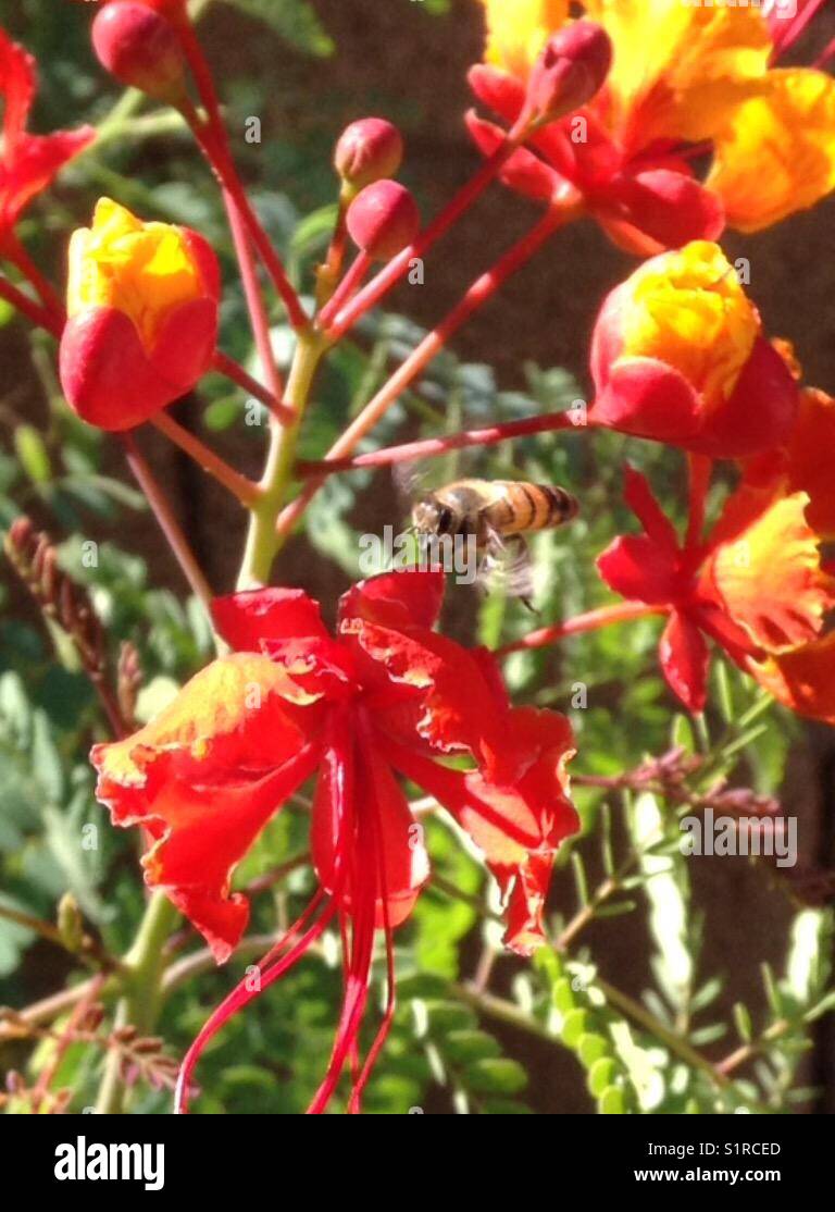 Nature at its finest hi-res stock photography and images - Alamy