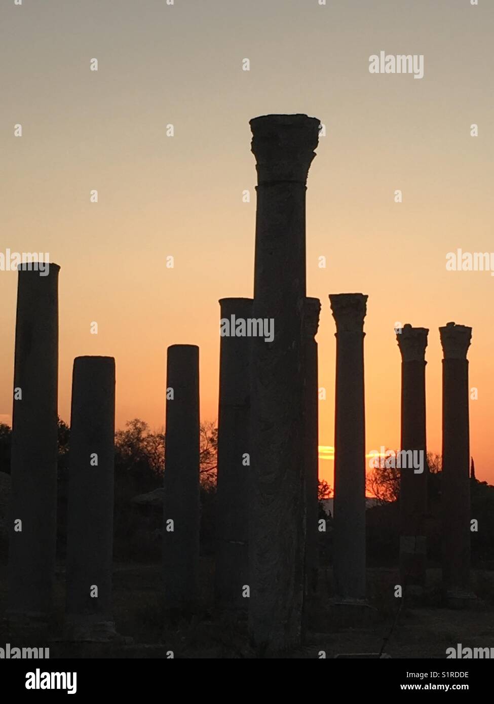 Carthage Roman Columns High Resolution Stock Photography and Images - Alamy