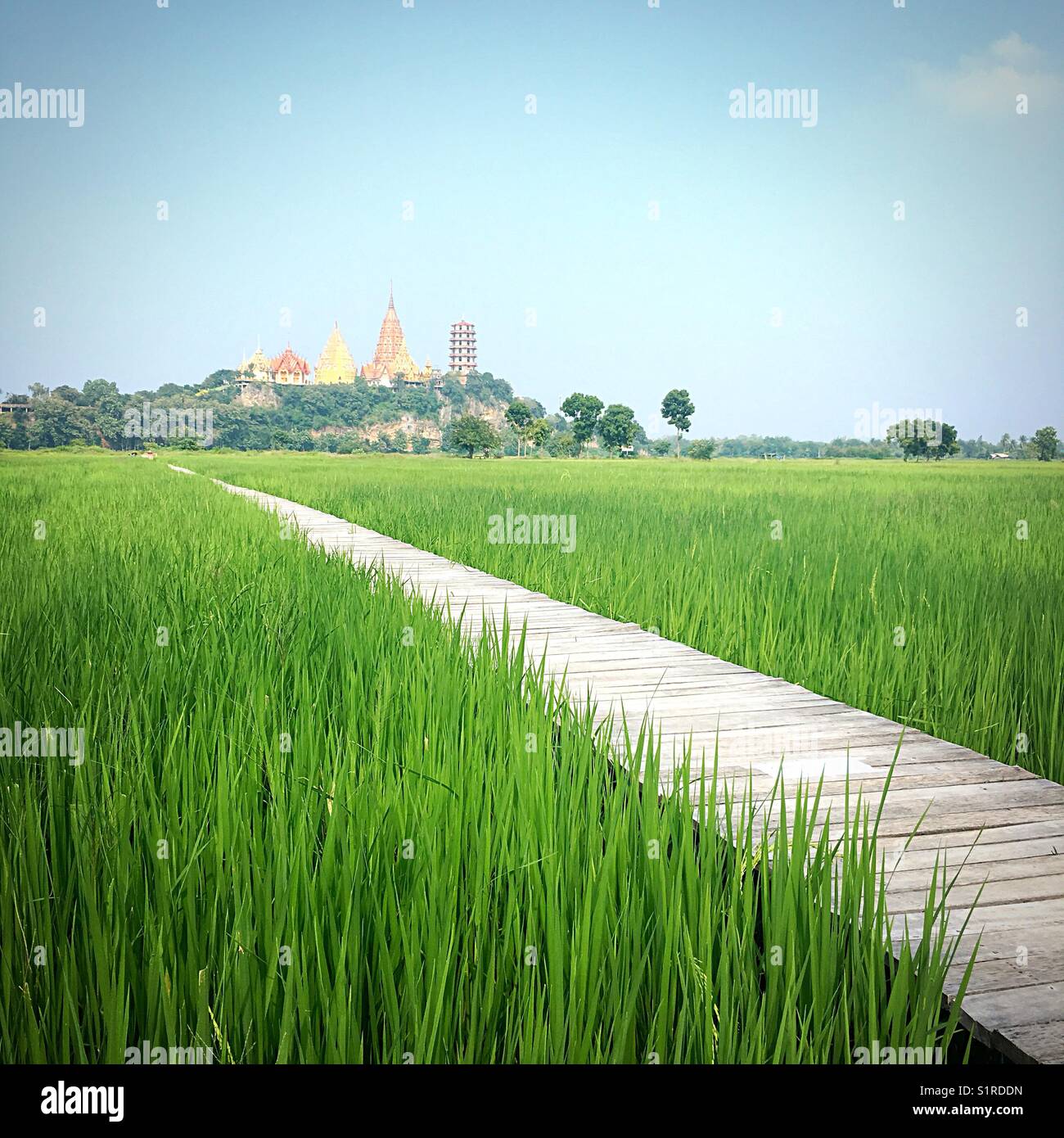 Rural Temples High Resolution Stock Photography and Images - Alamy