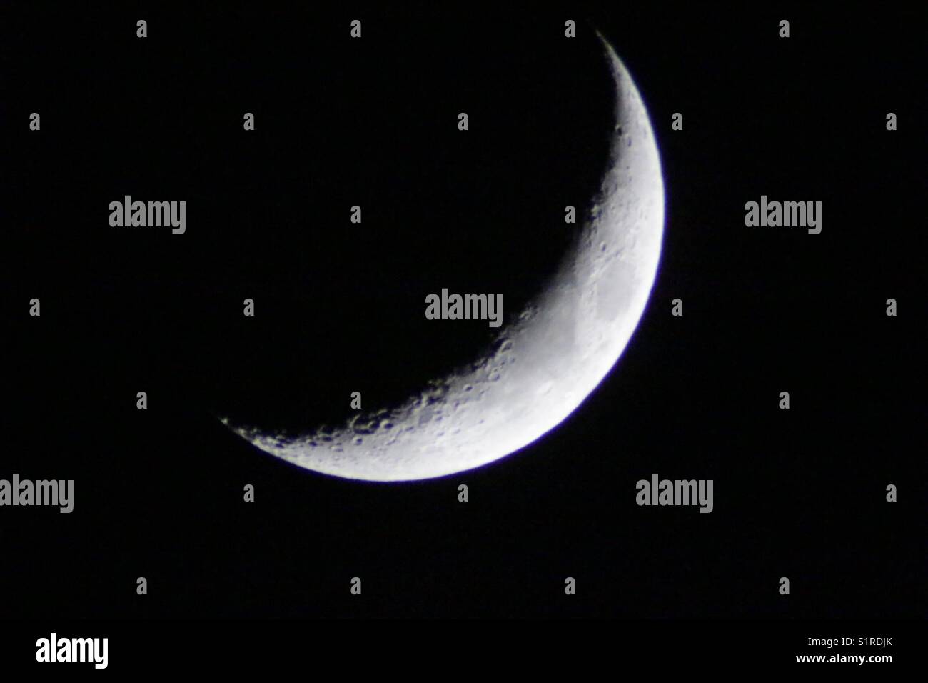 Waxing Crescent Moon Cosmos