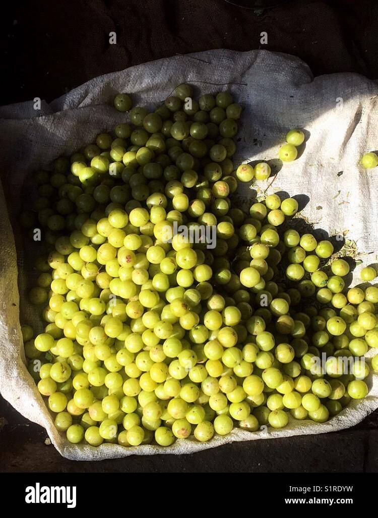 Indian mandi hi-res stock photography and images - Alamy