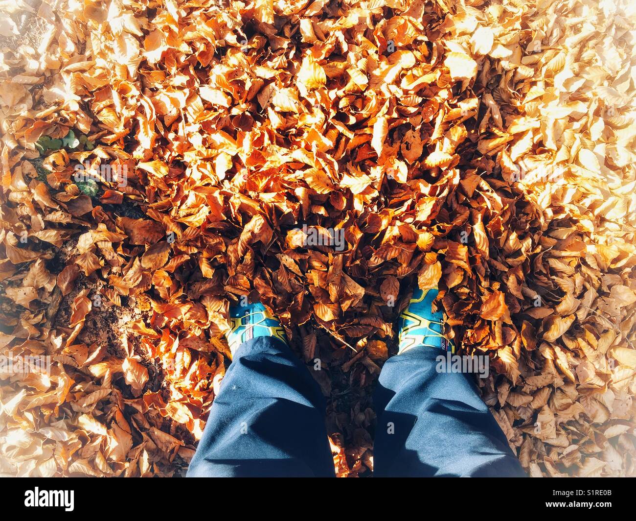 Autumn perspective hi-res stock photography and images - Alamy