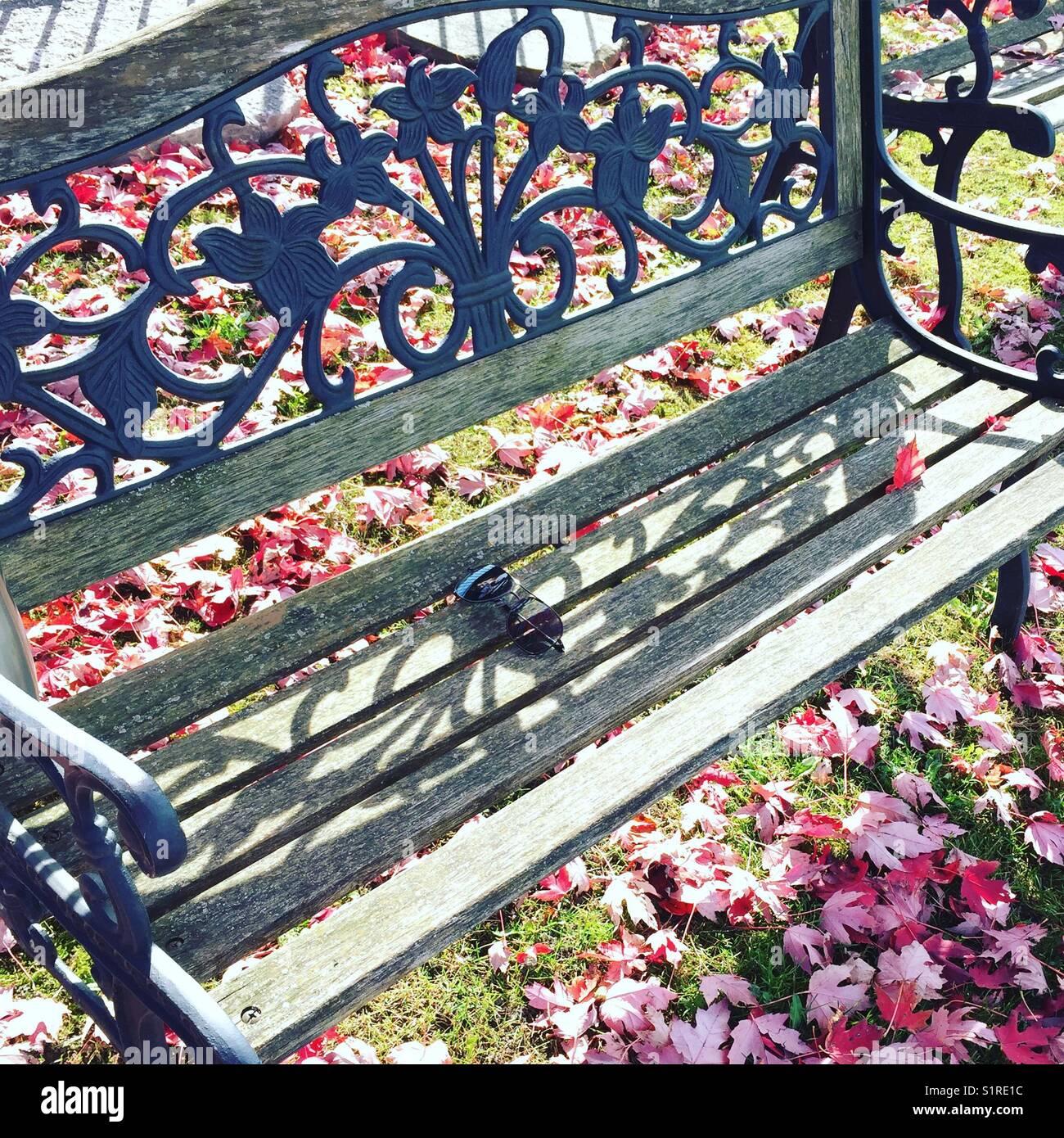 A bench in Fall by K.R Stock Photo - Alamy