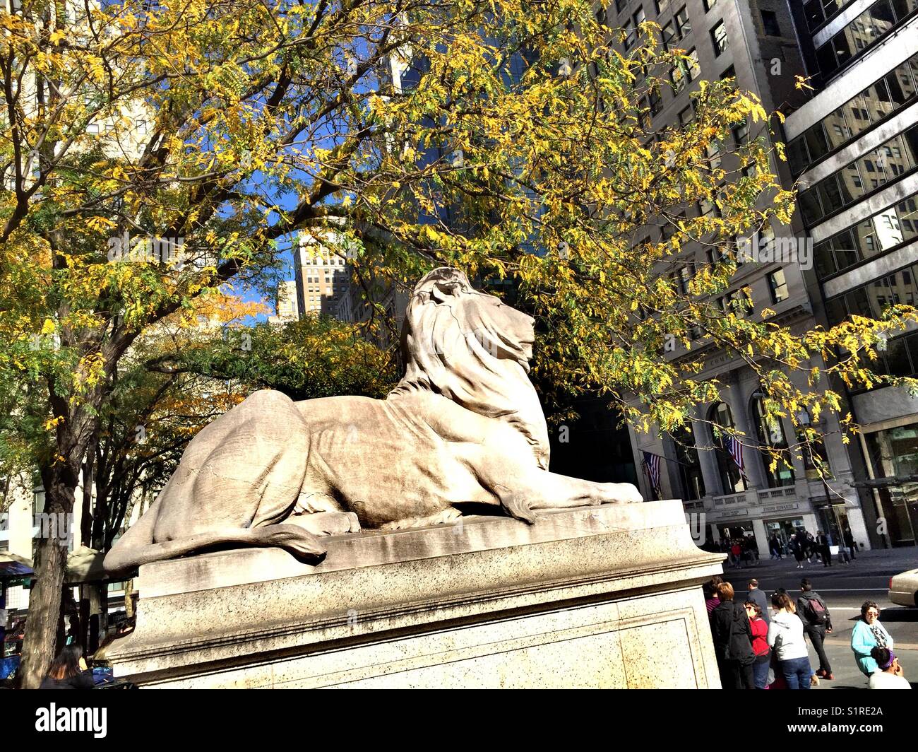 Fortitude the library lion statue in front of the main New York City ...