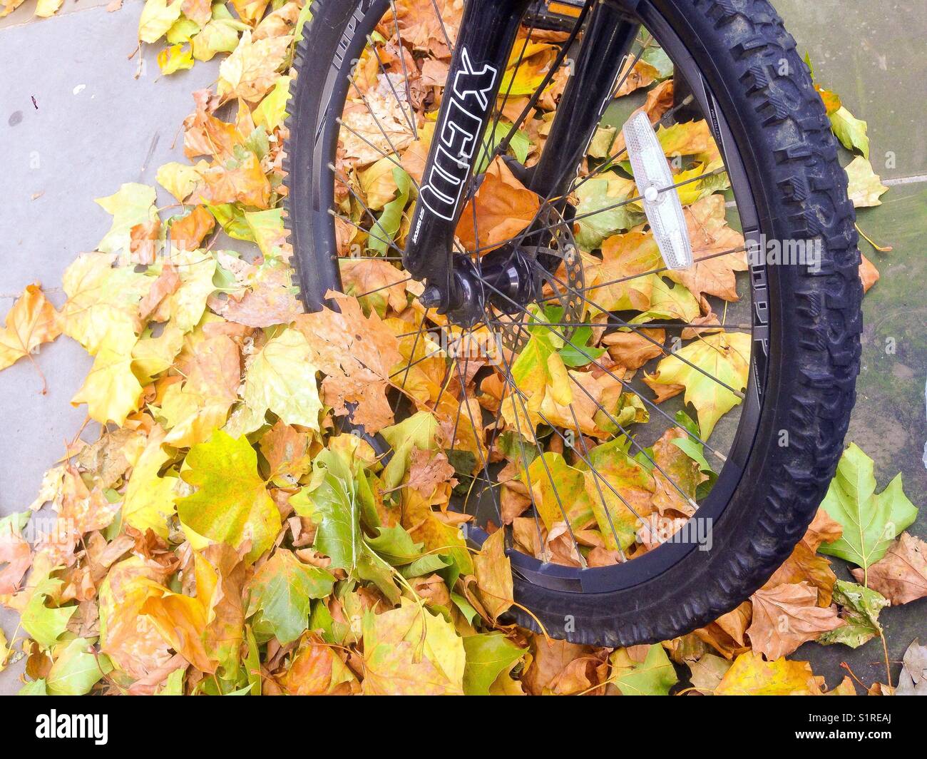 Wheel of death hi-res stock photography and images - Alamy