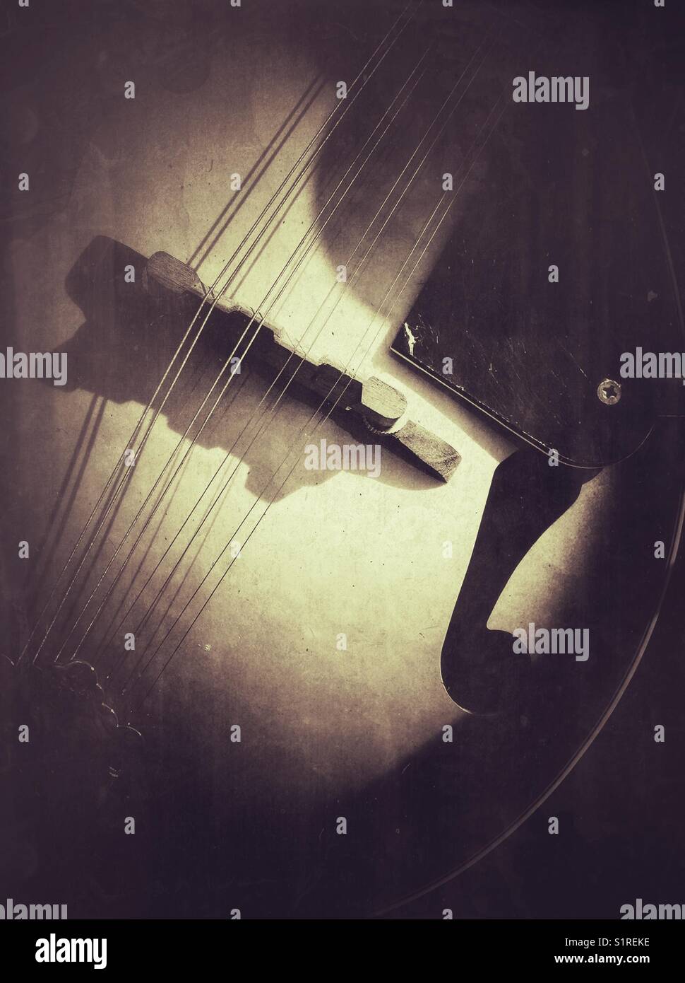 Mandolin musical instrument hi-res stock photography and images - Alamy